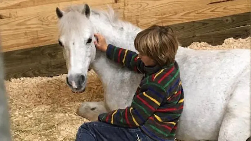 One To Watch: Coconut And Cooper Beisel Will Come From The Pond To Pony ...