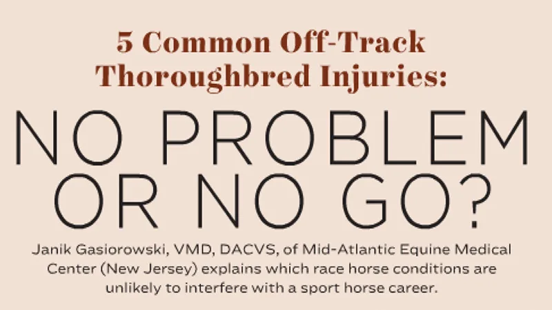 5 Common Off-Track Thoroughbred Injuries: No Problem Or No Go? - The ...