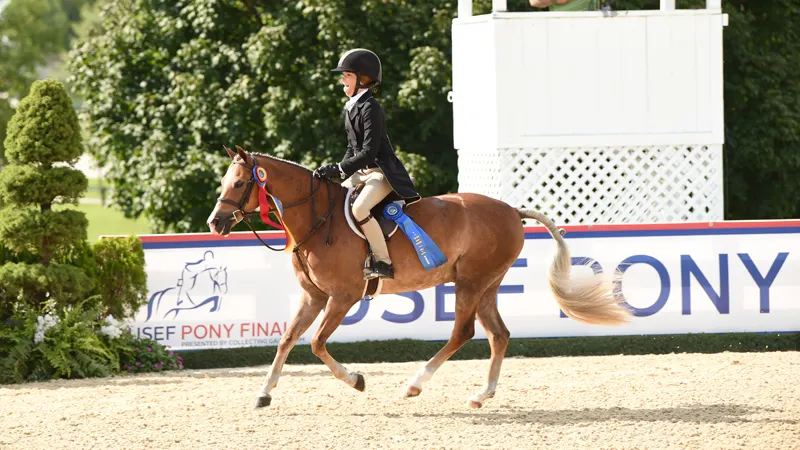 USEF Pony Finals: Should It Go Forward This Year? - The Chronicle of ...