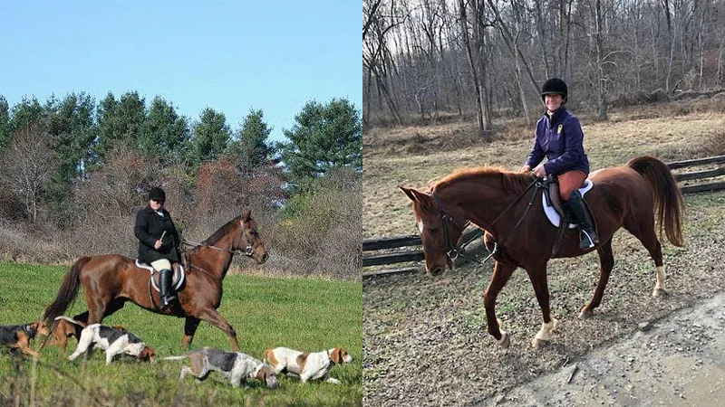 MFH Susan Boone Lost 120 Pounds And Gained Back Her Stamina In The ...