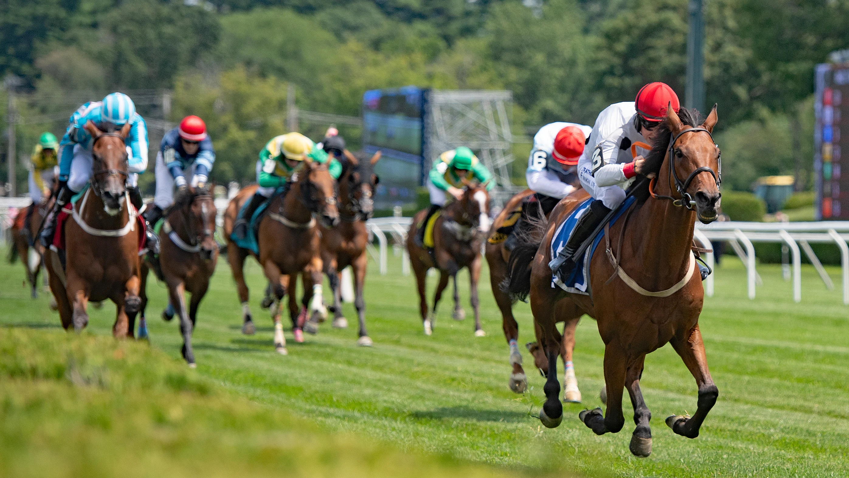 Winston C Wins Eclipse Award - The Chronicle of the Horse