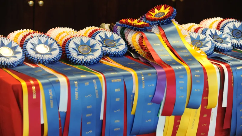 What You Need To Know: Rule Changes Up For Discussion At The USHJA ...