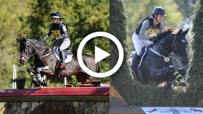 Watch Why They Won: Paddy The Caddy Puts In A Brave And Bold Fair Hill ...