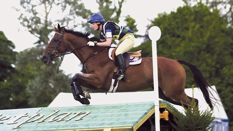 Eventing Legend Winsome Adante Dies At 26 - The Chronicle of the Horse