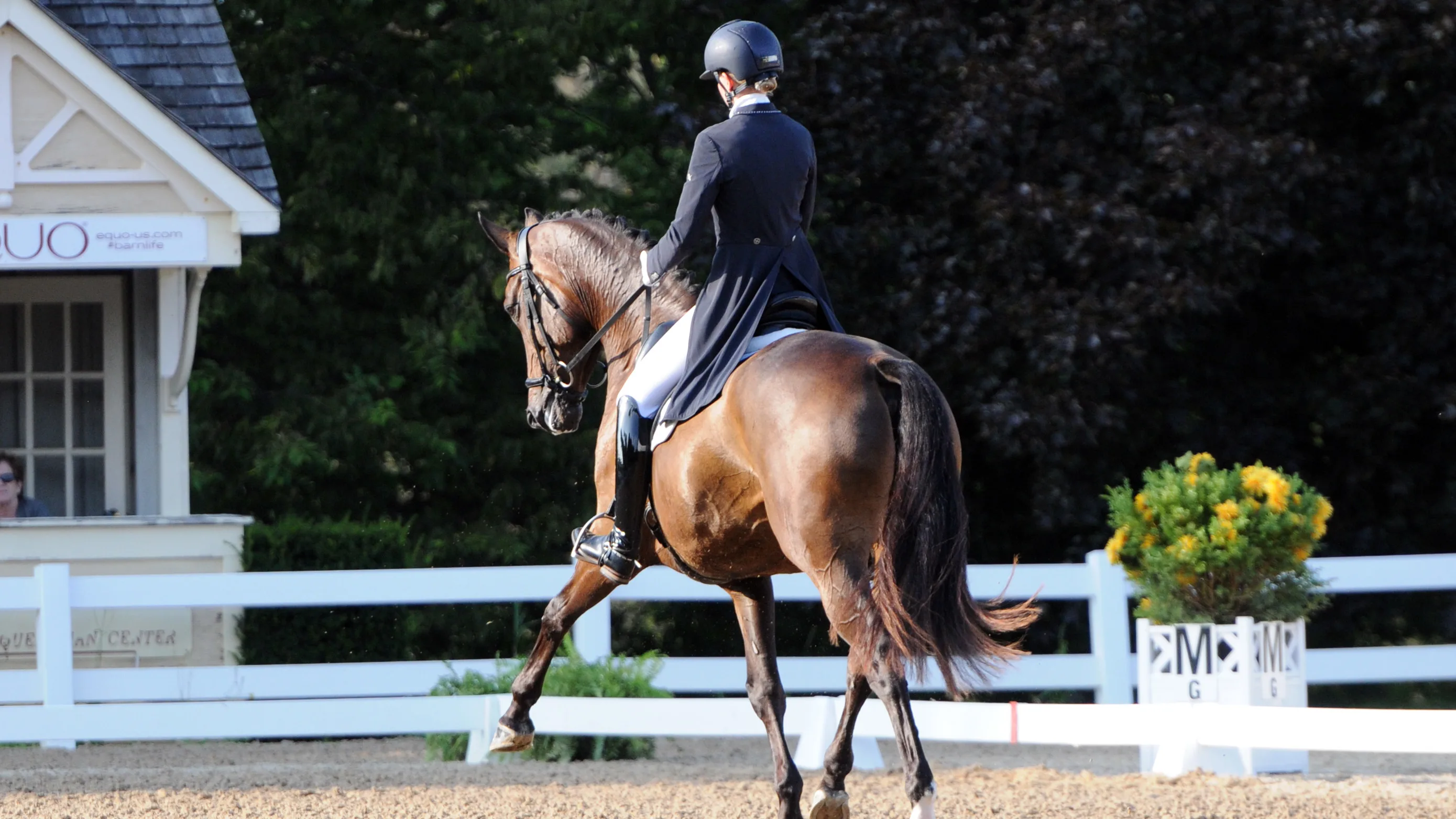 Young Dressage Stars On Stage: Soundbites From Day 1 - The Chronicle of ...