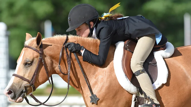 What You Need To Know: The 2017 USEF Pony Finals - The Chronicle of the ...