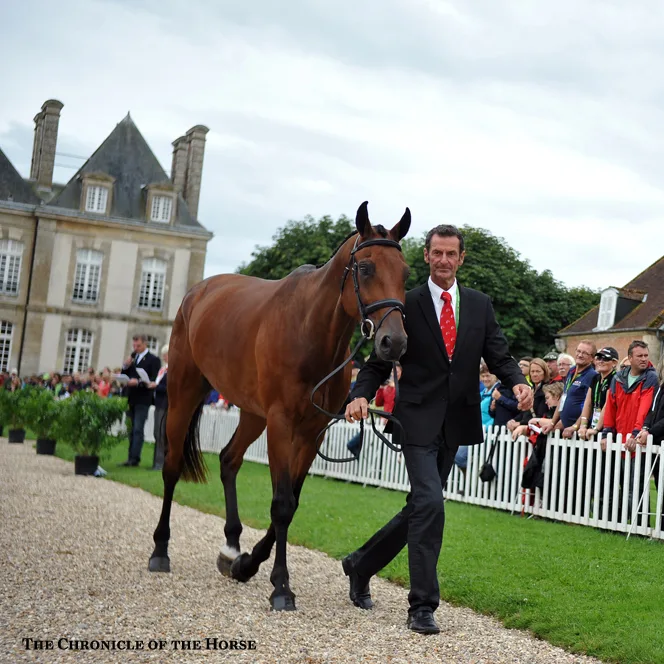 Eventing First Jog Photo Gallery - The Chronicle of the Horse
