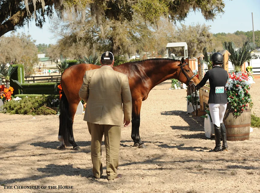 Professional hunters photo gallery - The Chronicle of the Horse