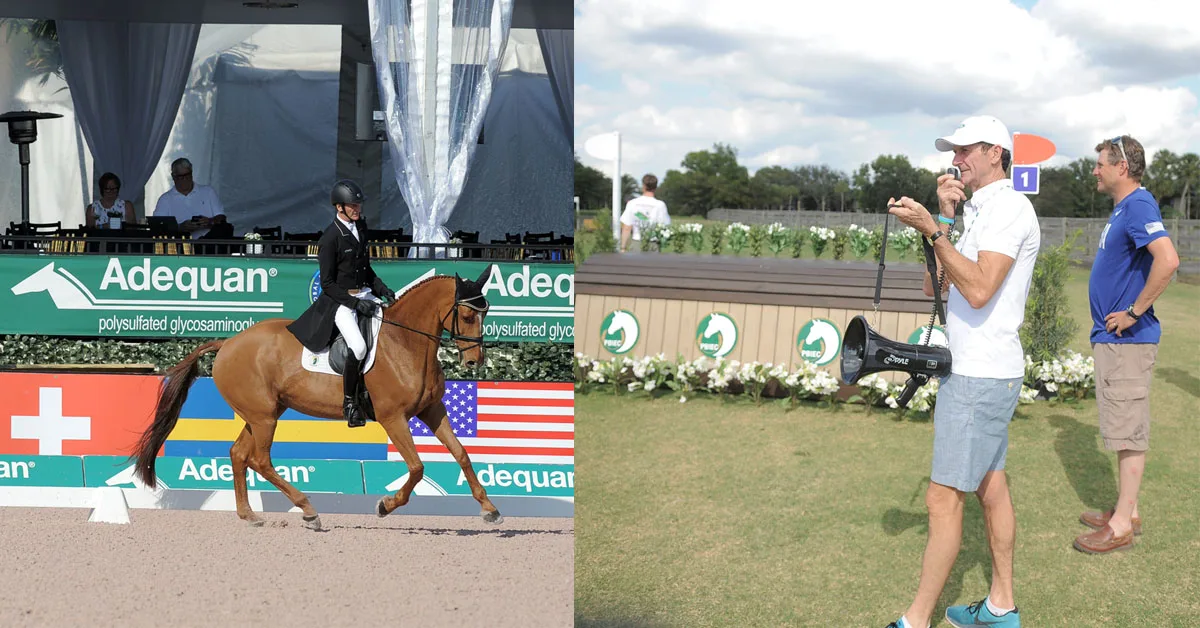 Ringside Chat: Mark Todd's Enjoying Some Sunshine At The Wellington ...