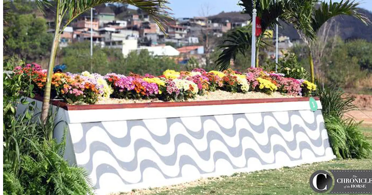 A Look At The Rio Olympic Cross-Country Course - The Chronicle of the Horse