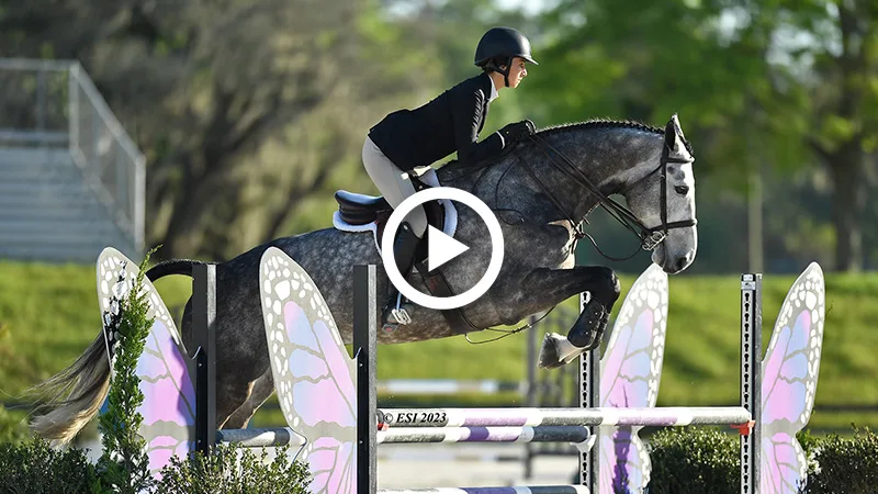 Watch Why They Won: Confidence Lifts Dayner To HITS Equitation ...