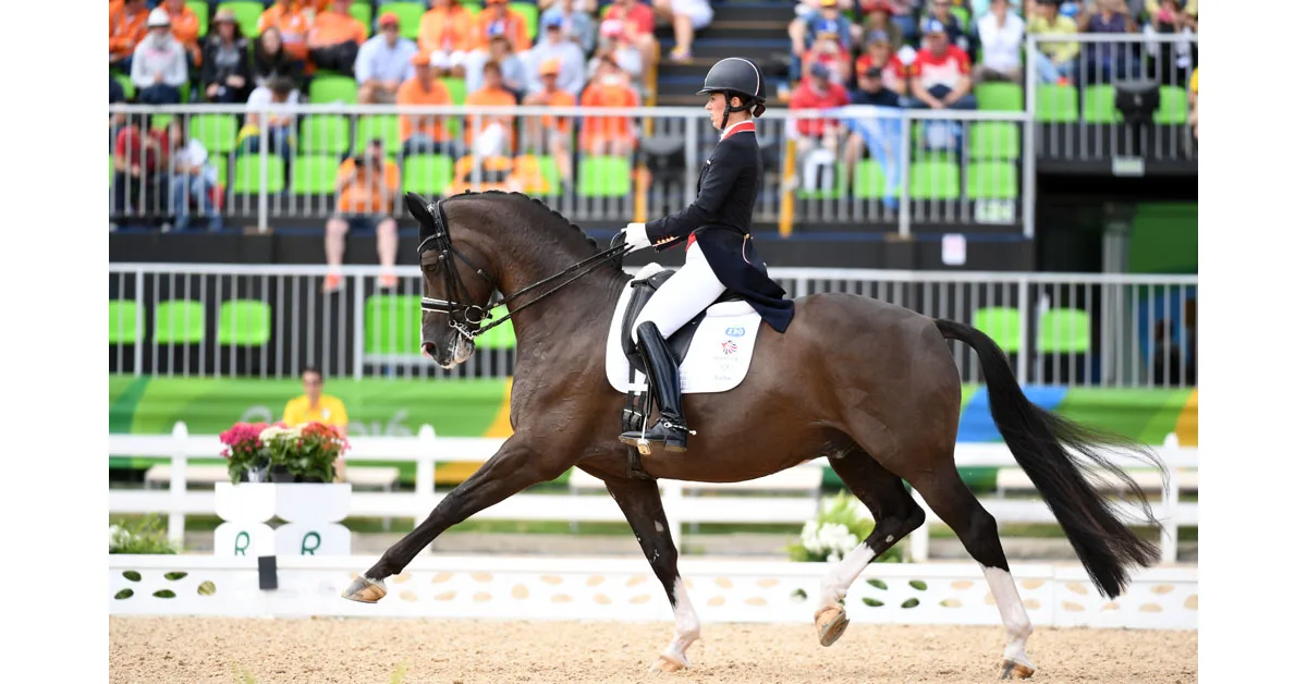 Valegro Shines In Grand Prix, Germany's Out Front And U.S. Team Holds ...
