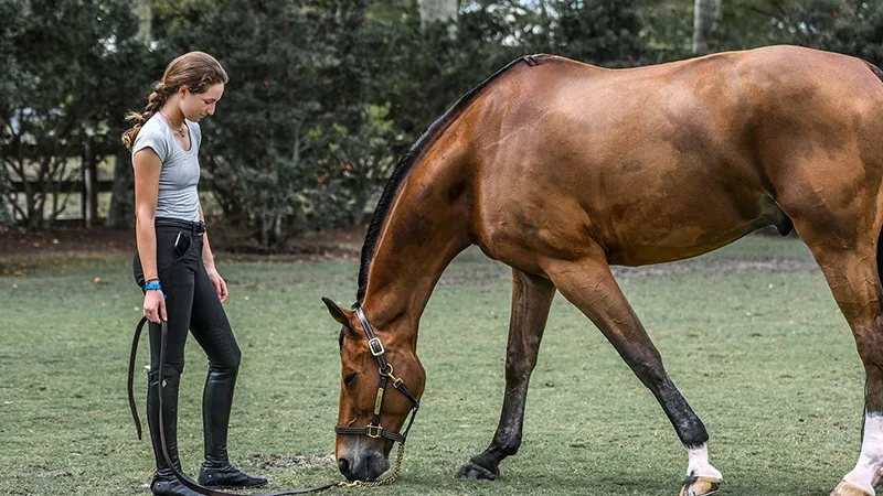 Behind The Stall Door With: Hester - The Chronicle of the Horse