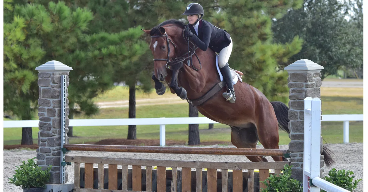 Behind The Photo: Eek! A Jump! The Hunter Version - The Chronicle of ...