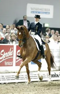 Werth Wins It In Bremen - The Chronicle of the Horse