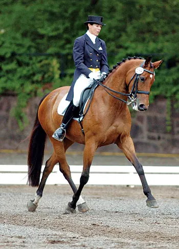 Minna And Moran Find Their Rhythm At Dressage Getaway - The Chronicle ...