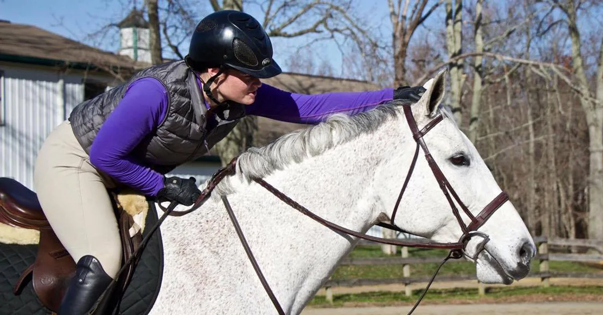 Advice To Present And Future Barn Kids - The Chronicle of the Horse