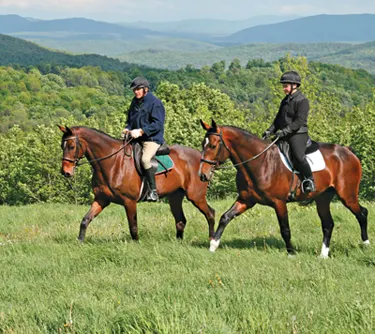 Throwback Thursday: Hacking Out—It's More Than You Think - The ...