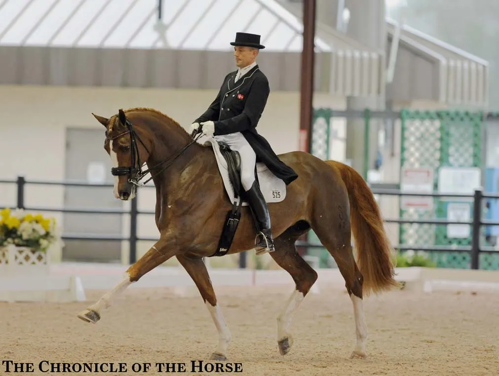 Lars Petersen Has A New Ride In Time For Rio - The Chronicle of the Horse