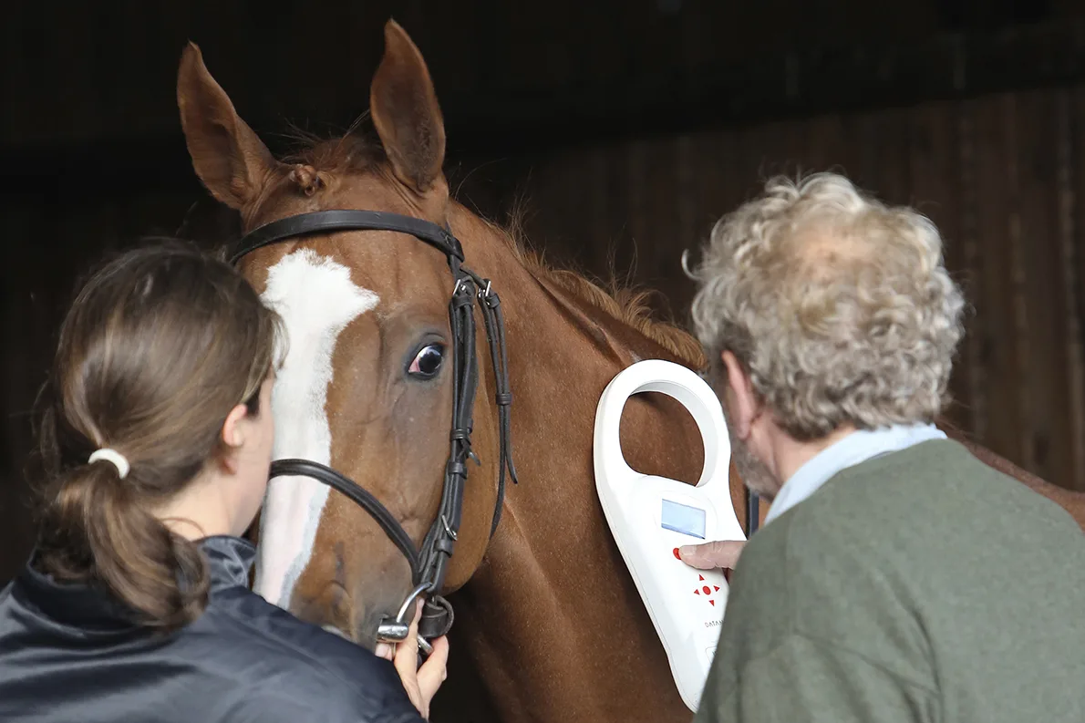 your-quick-guide-to-the-usef-rules-that-passed-and-a-few-that-didn-t