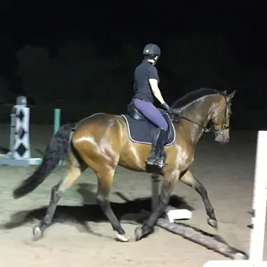 Throwback Thursday: Finding And Making The Time To Ride - The Chronicle ...