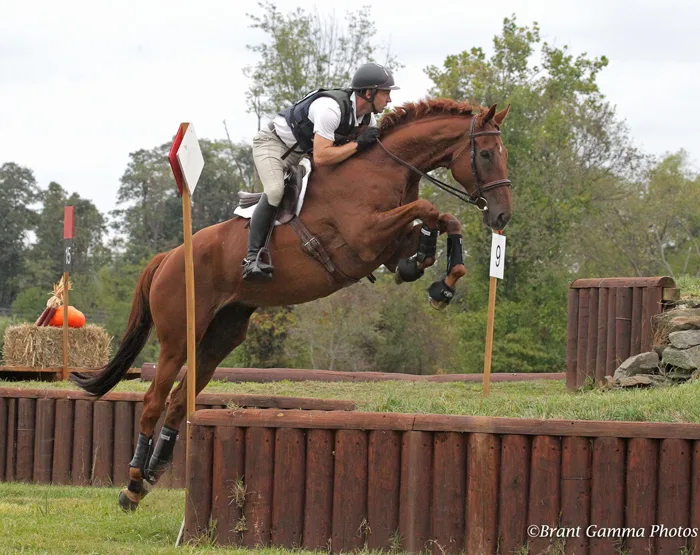 Chapter 25: Letter To Myself - The Chronicle of the Horse