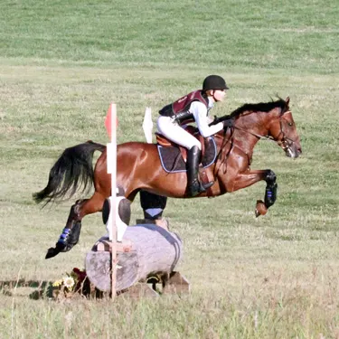 Rebecca Day 4: Endurance Day On An Equine Velociraptor And Lucky Number ...