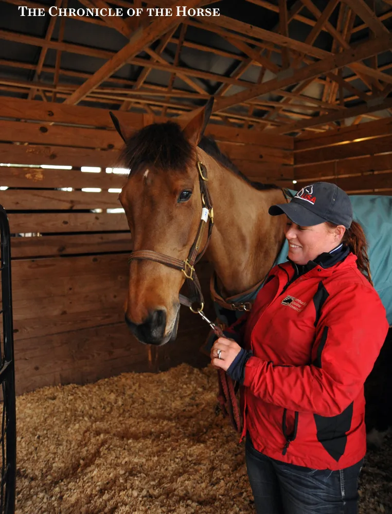 Behind The Stall Door With: Ballynoe Castle RM - The Chronicle of the Horse