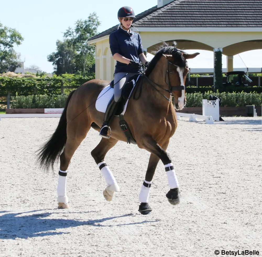 Ringside Chat: What Brought British Star Laura Tomlinson To Florida ...