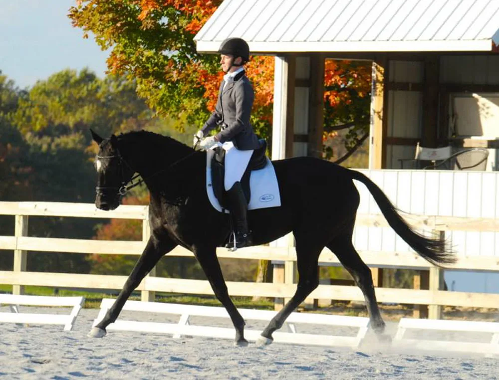 All The Mare She Could Muster - The Chronicle of the Horse