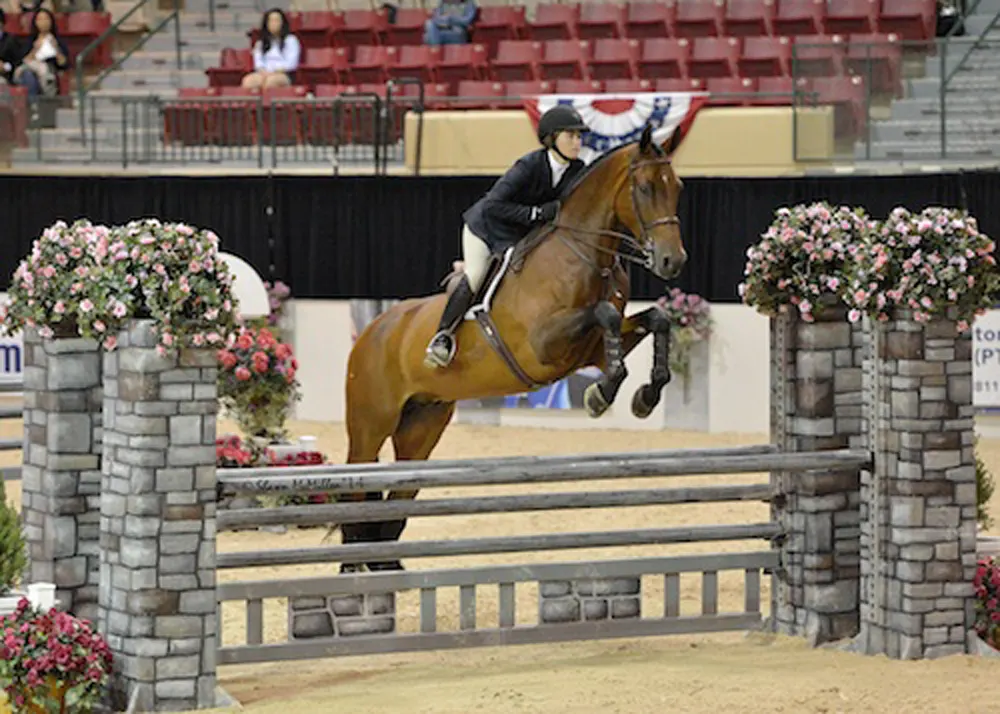 Tori Colvin Kicks Off Fall With Capital Challenge Equitation Win - The ...