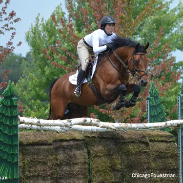 George H. Morris Gladstone Program In Illinois Concludes - The ...