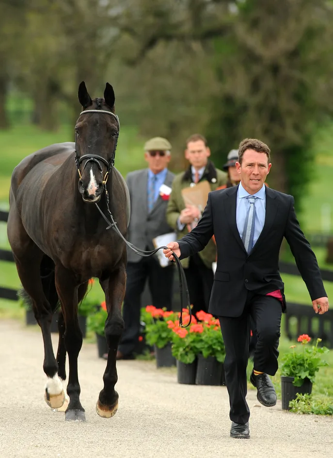 Ireland Announces World Games Eventing Team - The Chronicle of the Horse