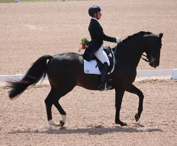 David Marcus Claims CDI-W CornerStone Grand Prix - The Chronicle of the ...