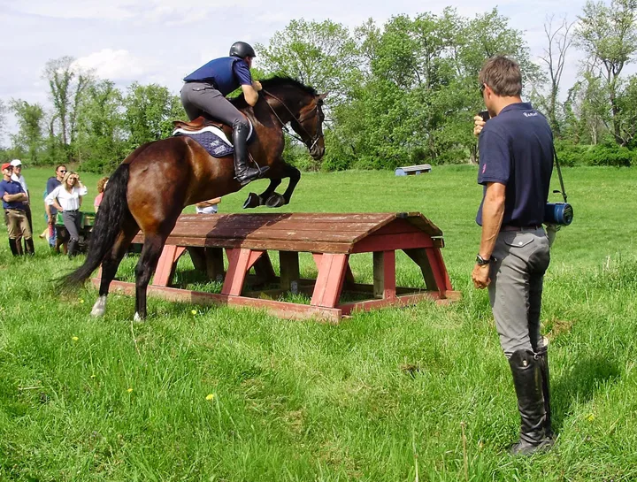 Wylde Dips A Toe Into The Waters Of Eventing - The Chronicle of the Horse