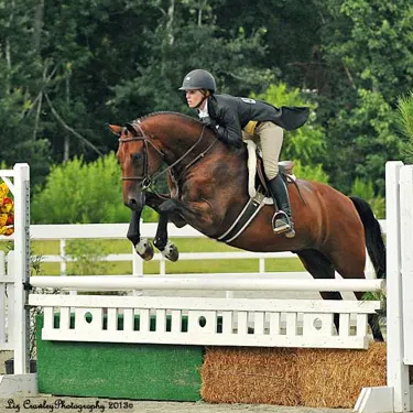 Cowboy Up - The Chronicle of the Horse