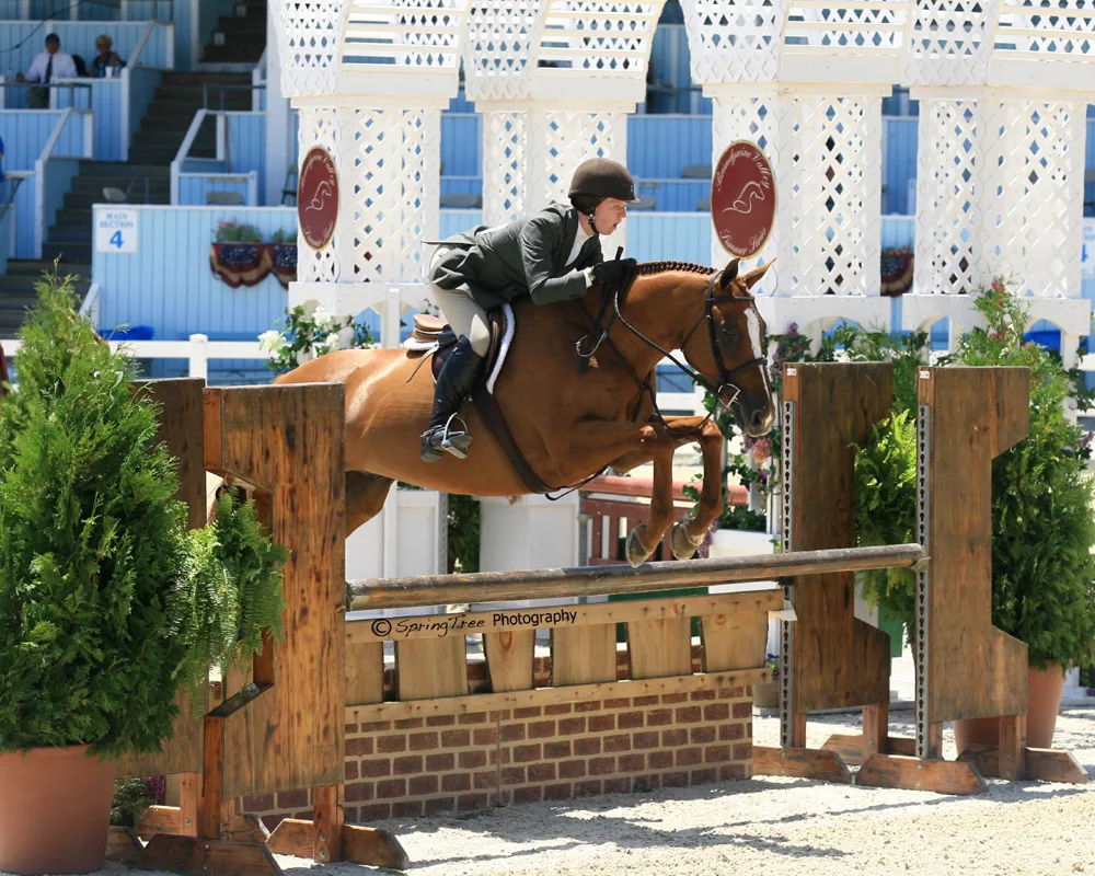 The Thoroughbred Ship Shape Navigates To Junior Hunter Wins - The ...