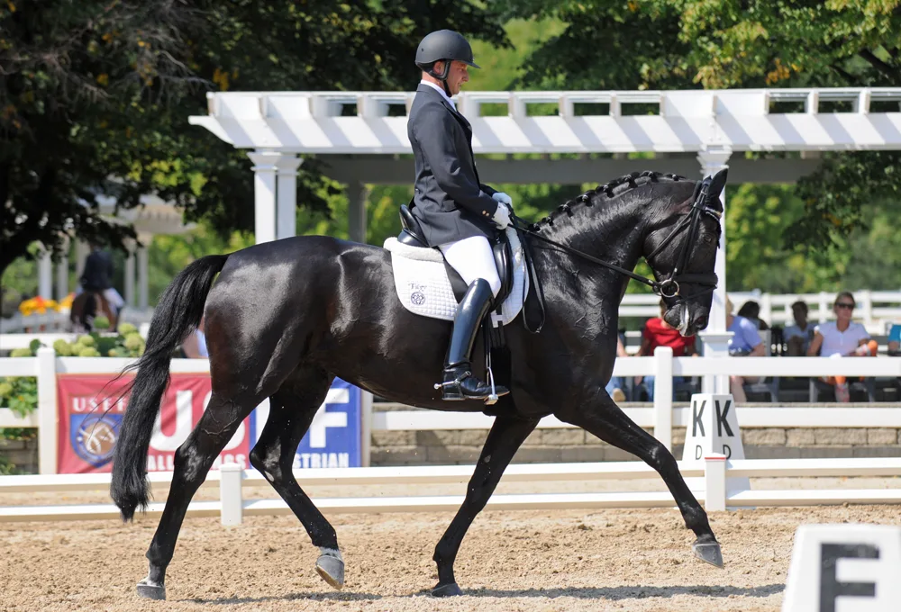 Jeremy Steinberg Relocates To California - The Chronicle of the Horse