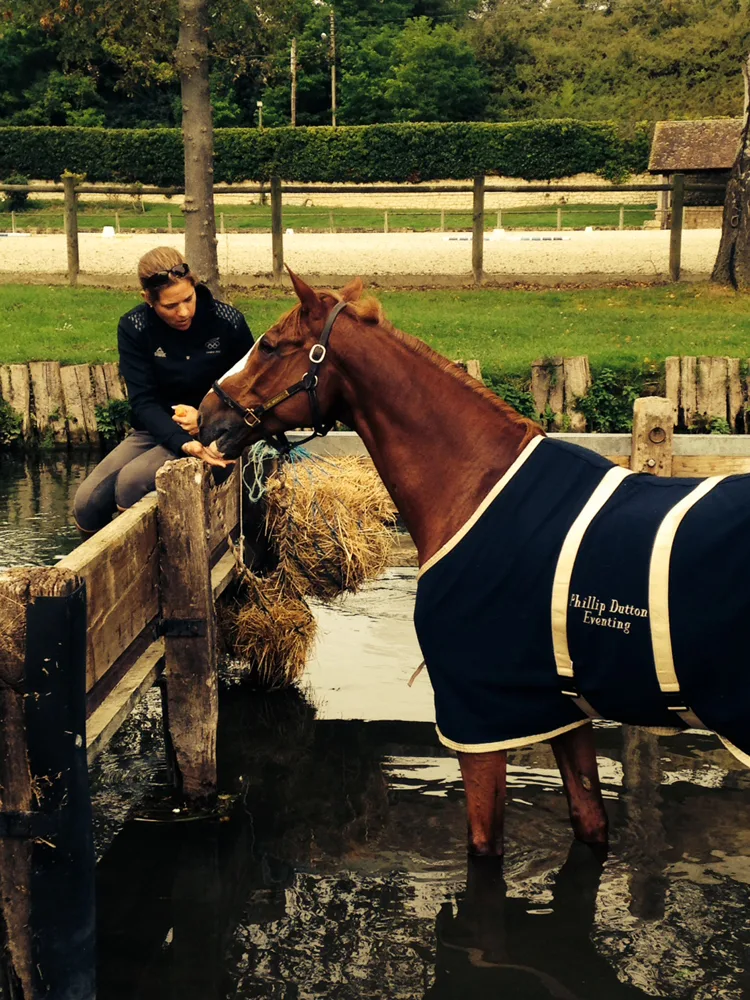 Donner Is More Than Ready For France - The Chronicle of the Horse