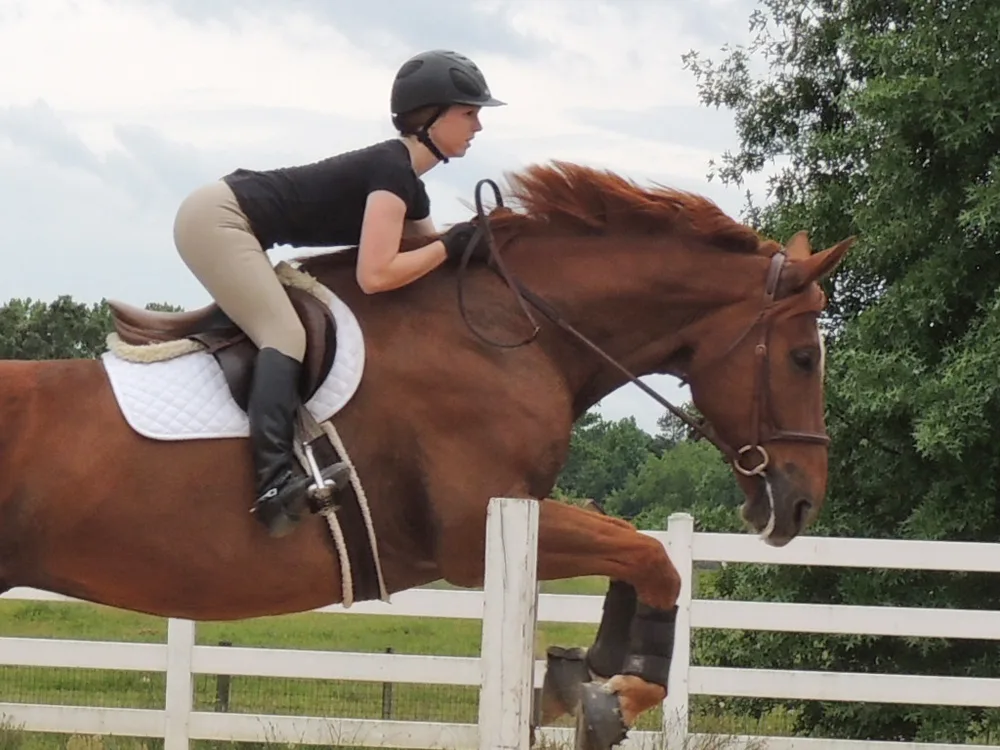 It All Started With The Road To The Maclay - The Chronicle of the Horse