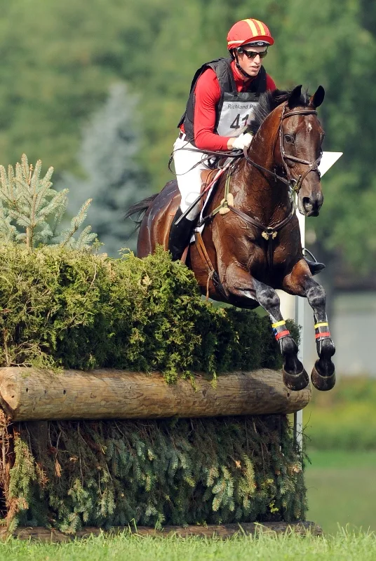 Running Order Sold To William Fox-Pitt Connection - The Chronicle of ...