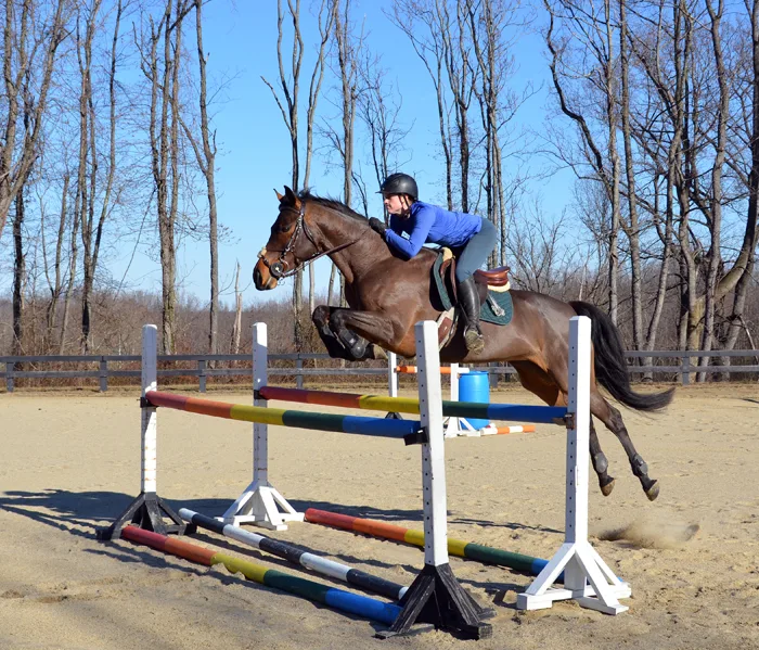 The It Factor - The Chronicle of the Horse