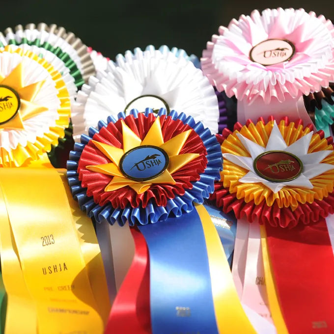 The Tier Format, Explained (Sort of) - The Chronicle of the Horse