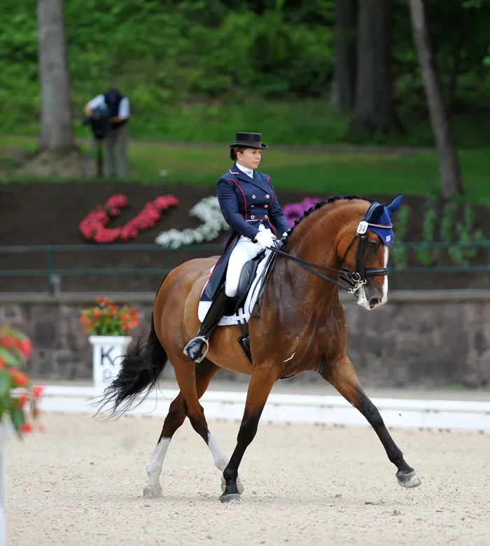 Harding Makes Tough Decision To Sell Come On III - The Chronicle of the ...