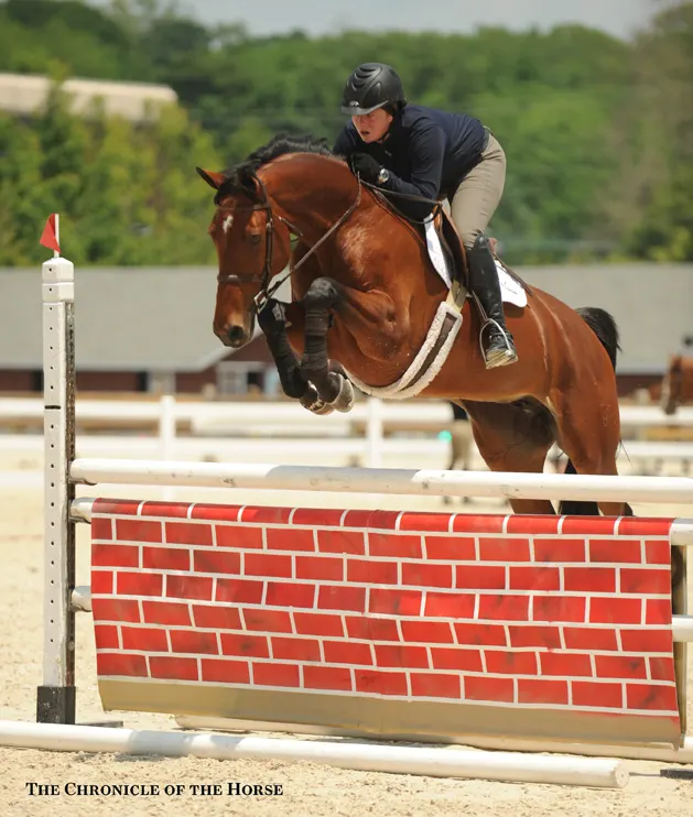 Updated: Eventer-Turned-Hunter Raises USEF Record Keeping Questions ...
