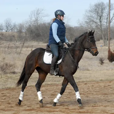 First Ride Foibles - The Chronicle of the Horse