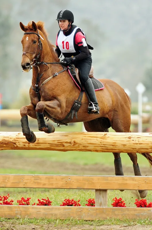 Debbie Rosen & The Alchemyst - The Chronicle of the Horse