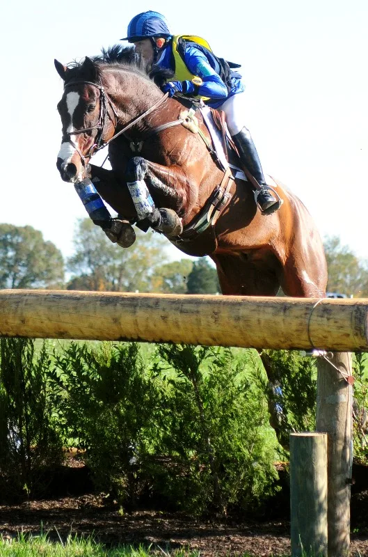 Amy Ruth Borun & Santa's Playboy - The Chronicle of the Horse