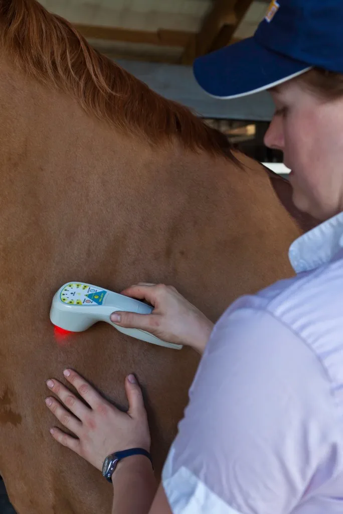 Eye Of Newt, Toe Of Frog, And Other Crud Remedies - The Chronicle of ...