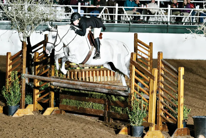 Calcagnini And Day Dream Make Derby Win A Reality - The Chronicle of ...